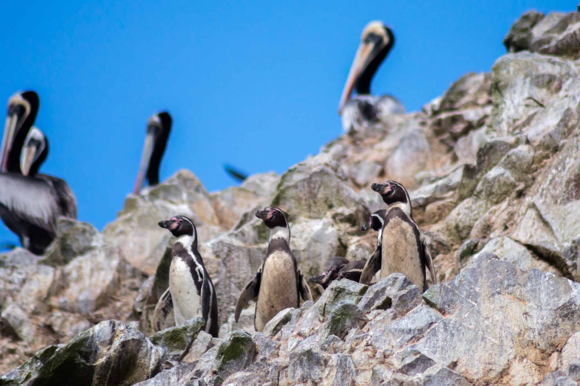Explore Peru with These Flexible Itineraries for Every Trip Length