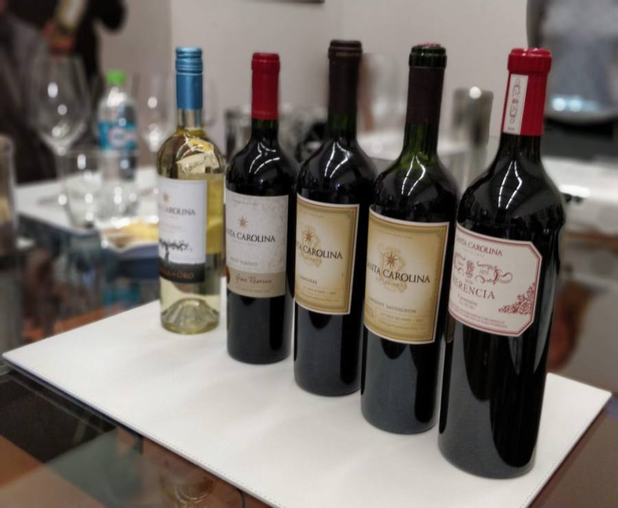 Chile Wine Regions: A Guide to the Country's Best Vineyards
