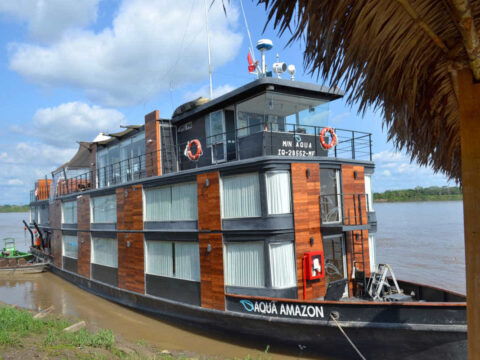 Which country is best for visiting the Amazon Rainforest? - Worldly ...